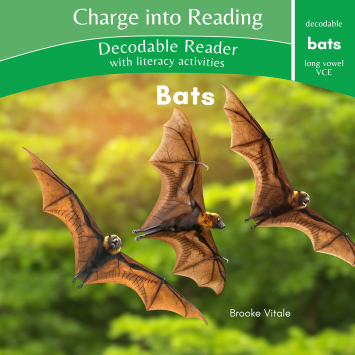 Charge Mommy Books Free Decodable Books and Resources