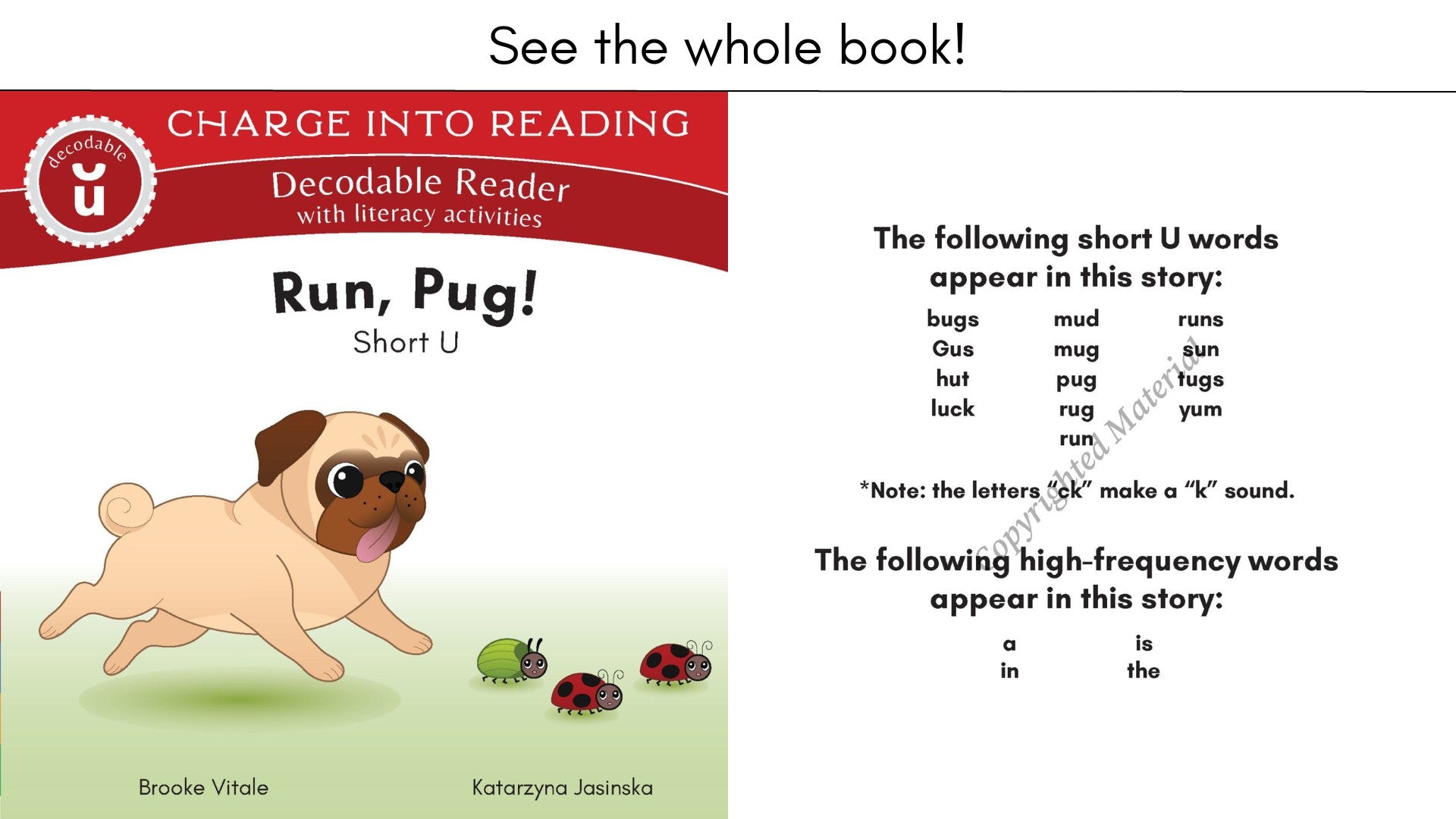 Decodable Readers – Charge Mommy Books