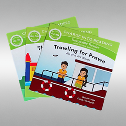 Stage 8: Diphthong Decodable Reader Set – Charge Mommy Books